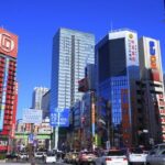 Exclusive Experience: Tailored Anime & Culture Tour in Akihabara - Key Points