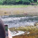 Exclusive Locations Private Bear Viewing - Who Will Love This Tour?