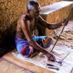 Exclusive Madu River Safari & Turtle Farm Tour from Colombo - Key Points