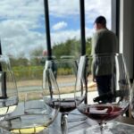 Exclusive Martinborough Wine Tour - Transportation & Group Size