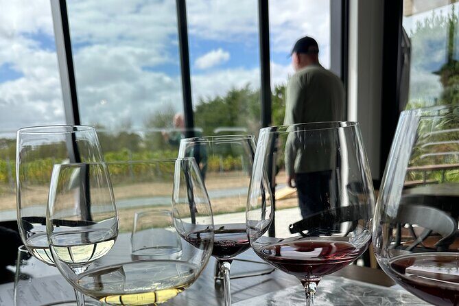 Exclusive Martinborough Wine Tour - Transportation & Group Size