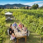 Exclusive Picton Wine & Scenic Adventure: VIP Cruise Experience - In-Depth Itinerary Review