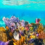 Exclusive Private Boat to El Cielo - What’s Included and What’s Not