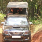 Exclusive : Wildlife Full Day Adventure in Wilpattu - Costs and Value for Money