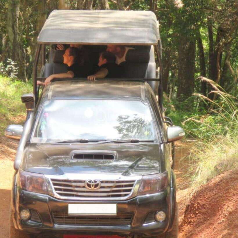 Exclusive : Wildlife Full Day Adventure in Wilpattu - Costs and Value for Money