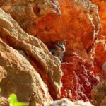 Exmouth: Cape Range Explorer One-Day Trekking Adventure - The Experience of the Guides and Reviews
