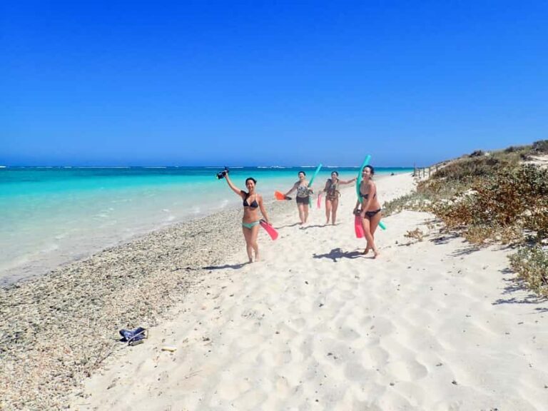 Exmouth: Guided Ningaloo Reef Snorkel Adventure - The Experience of Snorkeling With Experts