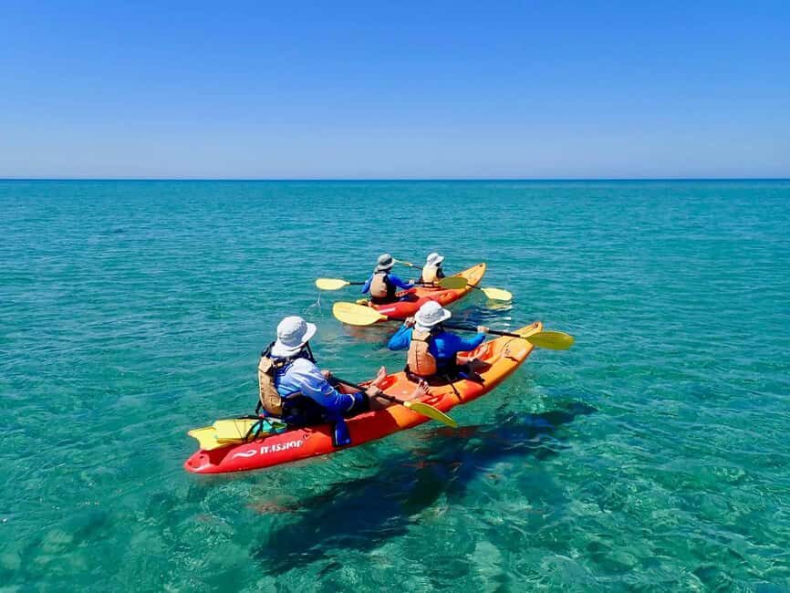 Exmouth: Half Day Turtle Kayak & Snorkel Tour - The Value of the Tour