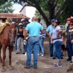 Experience 3 in 1 - Horse Riding, Zipline & ATV Shared - The Practical Details