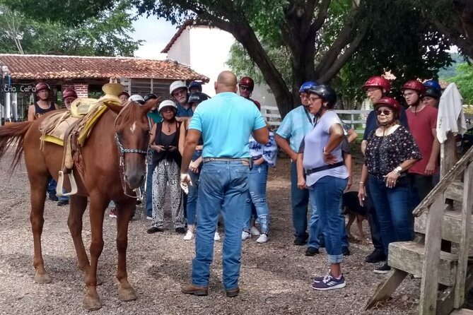 Experience 3 in 1 - Horse Riding, Zipline & ATV Shared - The Practical Details