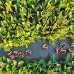 Experience Basket Boat Ride in Water Coconut Forest - Who Should Skip or Consider Other Options?