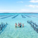 Experience Coffin Bay Oyster Farm and Bay Tour - Why This Tour Works Well for Travelers