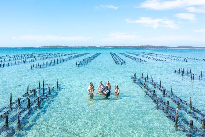 Experience Coffin Bay Oyster Farm and Bay Tour - Why This Tour Works Well for Travelers