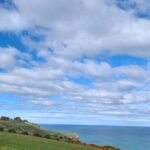 Experience Dunedin and Otago Peninsula Tours up to 8 people - The Practical Aspects