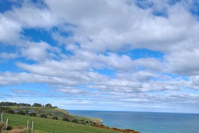 Experience Dunedin and Otago Peninsula Tours up to 8 people - The Practical Aspects