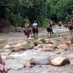 Experience Horse Riding, ATV & Zipline from Puerto Vallarta - Practical Tips for Travelers