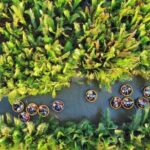 Experience Local Market and Boat Ride with Cooking Class - Who Will Love This Tour?