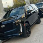 Experience Luxury Ride in Miami The Magic City - Analyzing the Experience: What You Need to Know