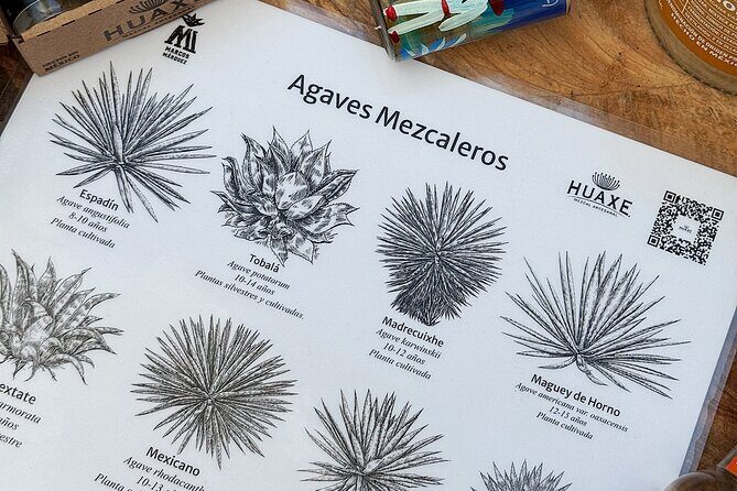 Experience mezcal science tasting and lecture Oaxaca - Who Would Love This Tour?