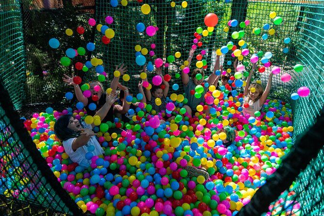 Experience Ourimbah State Forest Networld Adventure - Why Choose This Adventure?