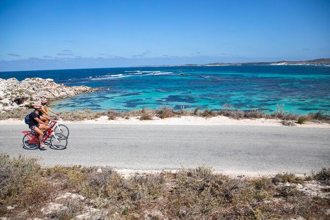 Experience Rottnest with Ferry & Bike Hire - Practical Considerations