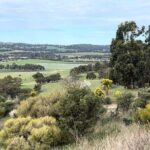 Experience SA Clare Valley Private Wine Tour - Exploring the Clare Valley Wine Tour