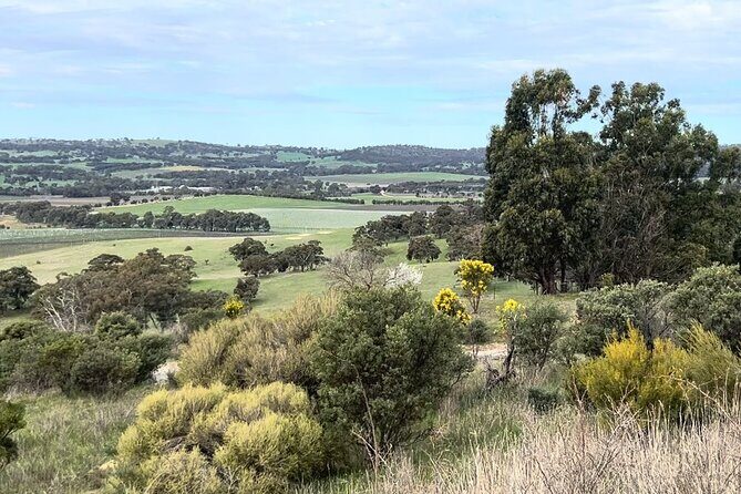 Experience SA Clare Valley Private Wine Tour - Exploring the Clare Valley Wine Tour