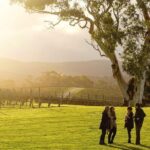 Experience SA Private Barossa Wine Tour- Pickup is in the Barossa - Detailed Review of the Experience