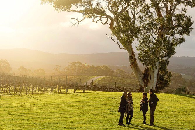 Experience SA Private Barossa Wine Tour- Pickup is in the Barossa - Detailed Review of the Experience