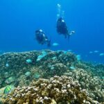 Experience Scuba Diving - No Certification Needed! - Who Is This Tour Best For?