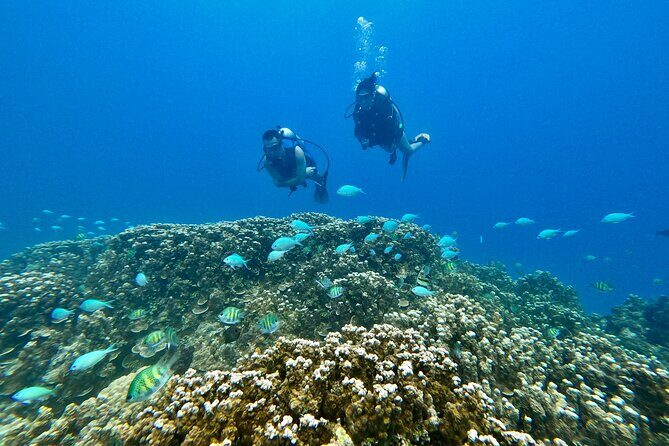 Experience Scuba Diving - No Certification Needed! - Who Is This Tour Best For?