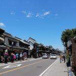 Experience Seasonal Green Tea Picking in Sayama and Nostalgic Walk in Kawagoe! - An Introduction to Sayama and Kawagoe’s Unique Charm