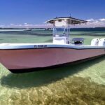 Experience Sunset and Dolphin Adventure in Panama - Who Will Enjoy This Tour?