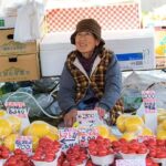 Experience the energy of Kochi: Sunday Market Tour includes Kochi Castle - What the Reviews Say