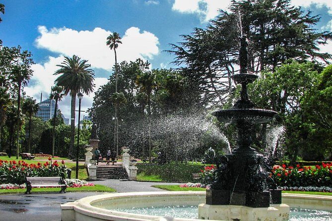 Explore Auckland: Self Guided Audio Tour - What Travelers Say