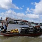 Explore Cai Rang Floating market & Mekong River 1 day - Final Thoughts: Who Will Enjoy This Tour?
