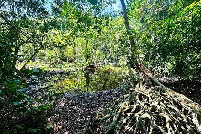 Explore Cat Ba National Parks Hidden Wonders: Hike, Bike, Kayak - An In-Depth Look at the Experience