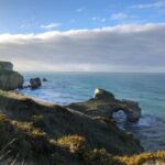 Explore Dunedin: Self-Guided Audio Tour Adventure - The Itinerary in Detail: What Youll See and Learn
