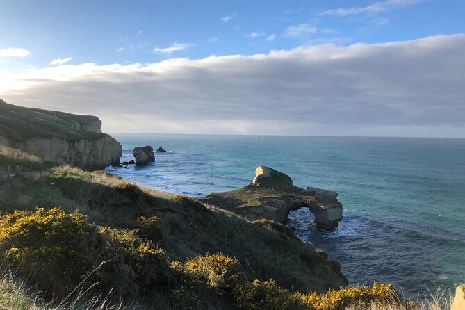 Explore Dunedin: Self-Guided Audio Tour Adventure - The Itinerary in Detail: What Youll See and Learn