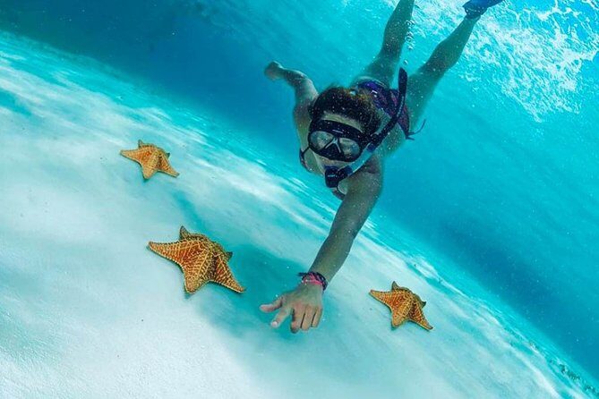 Explore El Cielo in Cozumel. Snorkel in 3 different reefs & visit Cielito Beach. - In Summary