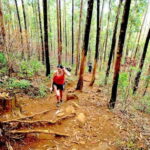 Explore Ella: Rock Hike, Loop, Falls, Nine arch & Train View - A Well-Rounded Day in Ella