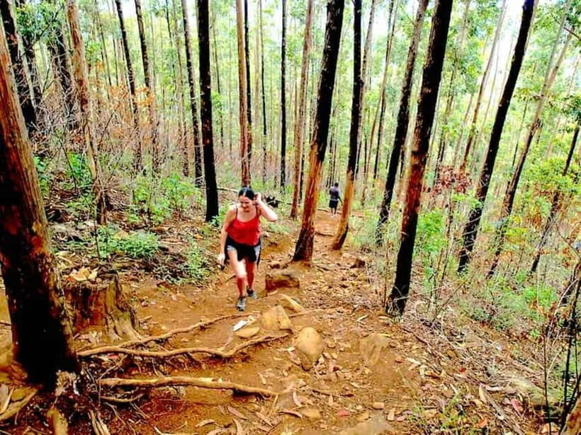 Explore Ella: Rock Hike, Loop, Falls, Nine arch & Train View - A Well-Rounded Day in Ella