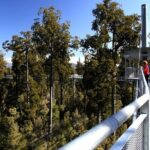Explore Hokitika Gorge and Tree Top Walkway - Transport and Group Size