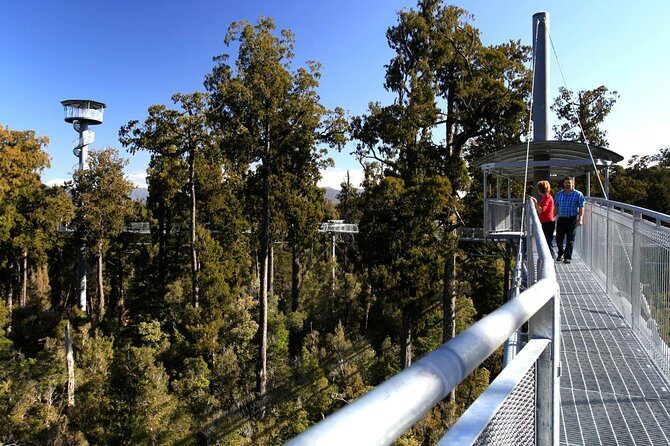 Explore Hokitika Gorge and Tree Top Walkway - Transport and Group Size