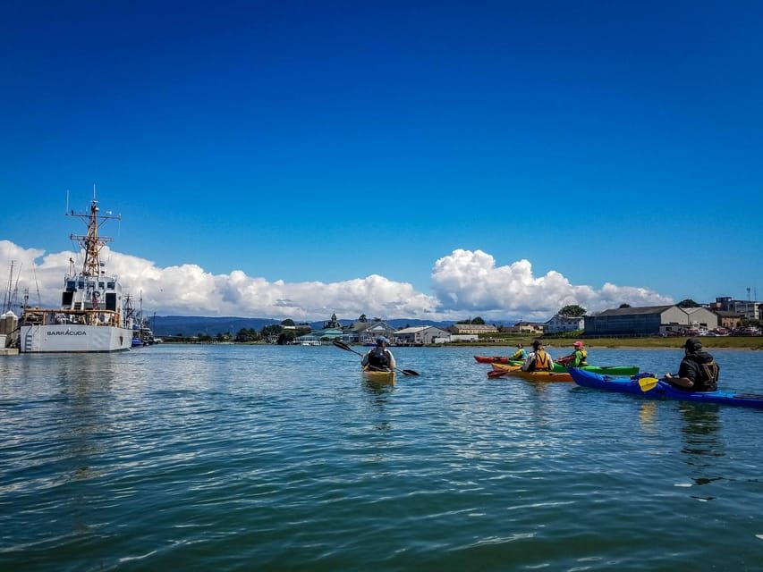Explore Humboldt Bay by Kayak - What to Expect During the Tour