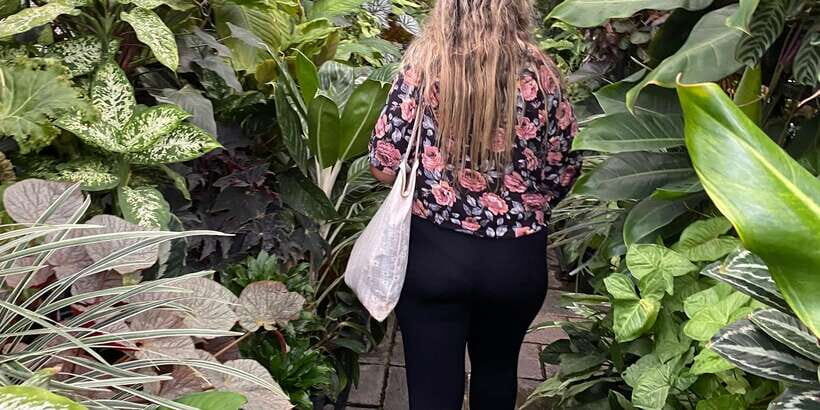 Explore Kandy City Tour by Tuk Tuk - What Could Be Better?