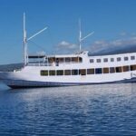 Explore Komodo and Swim with Whale Sharks - Introduction: A Sea of Adventure with a View