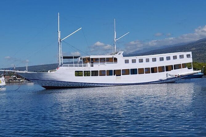 Explore Komodo and Swim with Whale Sharks - Introduction: A Sea of Adventure with a View