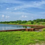 Explore Lothal & Uthellya From Ahmedabad - Who Should Consider This Tour?