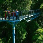 Explore Mt Tamborine from Brisbane - Authentic Insights